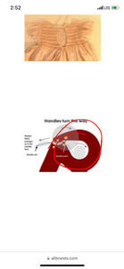 Read 24 Row Super Maxi Smocking Pleater Machines - New Low Price! at ...